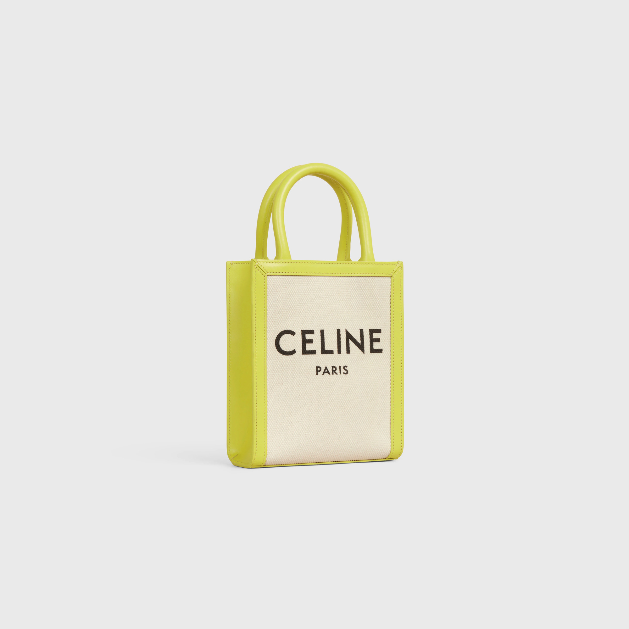 Celine Women's Mini Cabas Vertical In Natur,anis | ModeSens